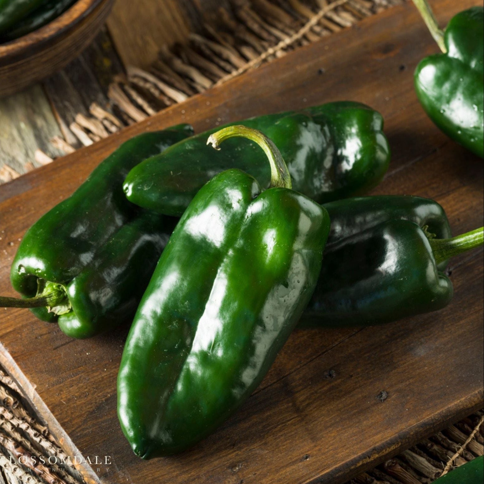 Poblano Pepper Seeds - pepper seeds - Blossomdale